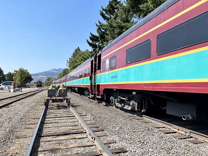 These aren't just train cars—they're carefully preserved pieces of American transportation history, lovingly maintained to give modern travelers an authentic rail experience.