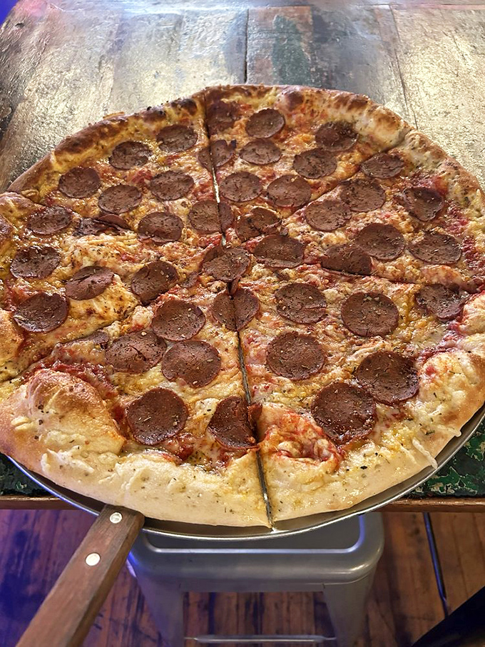 This pepperoni pizza is the circle of life—if life were made of perfect crust, tangy sauce, and enough pepperoni to make a cardiologist nervous.
