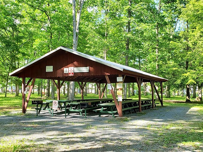 Community parks with practical picnic shelters reflect Lock Haven's priorities: accessible gathering spaces where memories don't require membership fees.