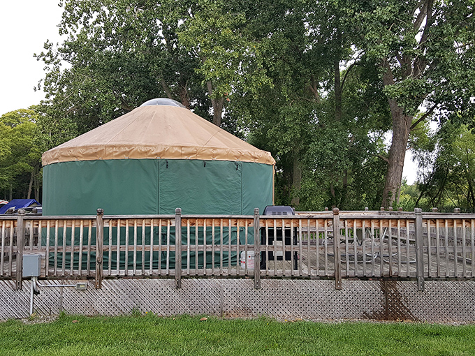 The park's yurt offers glamping before glamping was cool. Like a five-star hotel room that somehow landed in the woods and decided to stay.