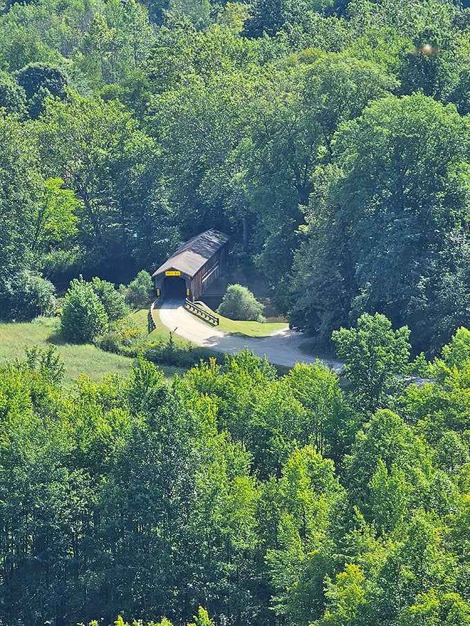 From above, the bridge looks like a wooden jewel nestled in Ohio's green crown.