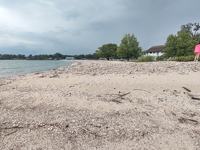 Where land meets lake in a perfect harmony of textures. Those tiny branches tell stories of storms survived and calm days ahead.