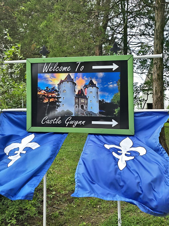 13. arrow Follow the fleur-de-lis to fantasy! This welcoming sign points the way to Castle Gwynn, where medieval dreams await just around the corner.