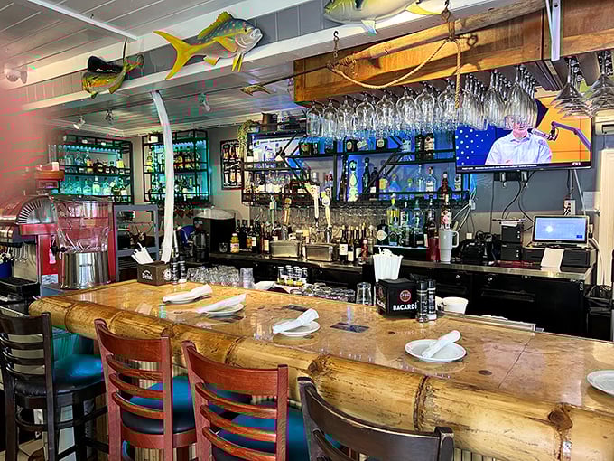 A bar that balances rustic charm with serious drink-making credentials. The mounted fish overhead seem to approve of your beverage choices.