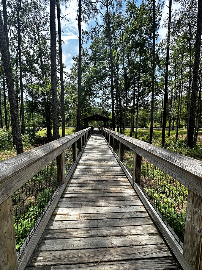 Crossing into tranquility – this wooden boardwalk bridge invites visitors to leave behind the ordinary and enter a world of natural wonder.