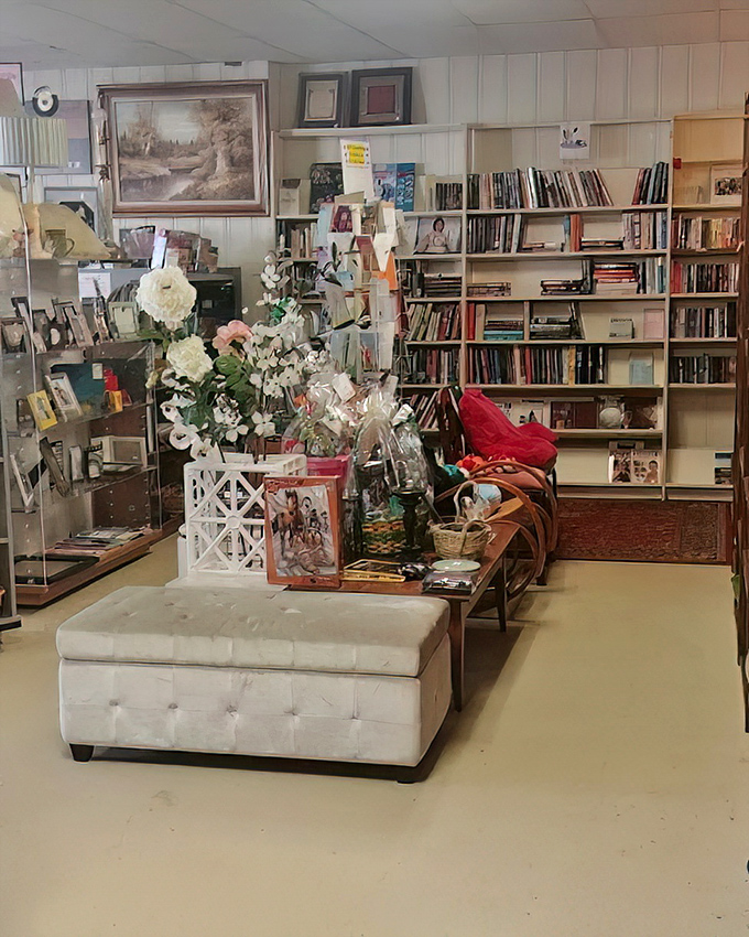 Book lovers discover literary treasures alongside comfortable seating that invites extended browsing and reading sessions.