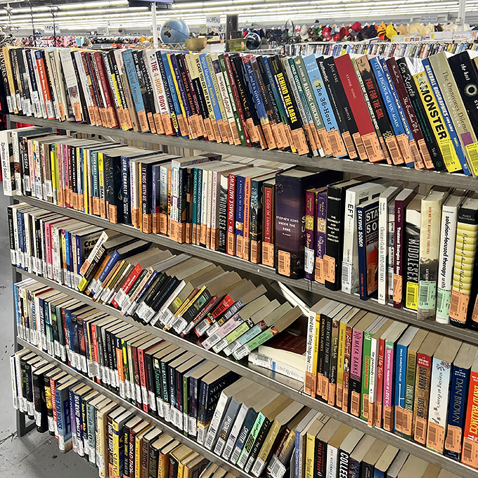 The book section rivals many libraries, with spines telling stories of previous readers' tastes—from beach reads to forgotten bestsellers and timeless classics.