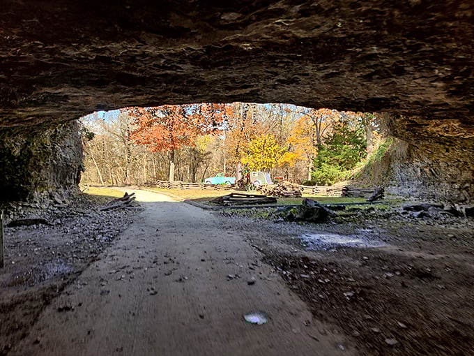 The light at the end of the tunnel isn't always metaphorical. This cave exit frames the outside world like nature's own Instagram filter.