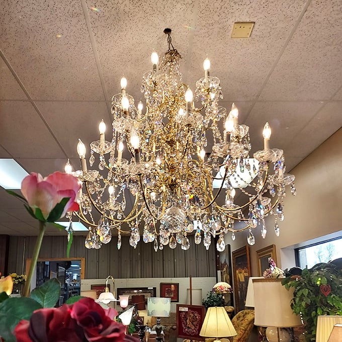 Chandeliers that make you wonder if you should upgrade your entire house just to have a ceiling worthy of such sparkle.