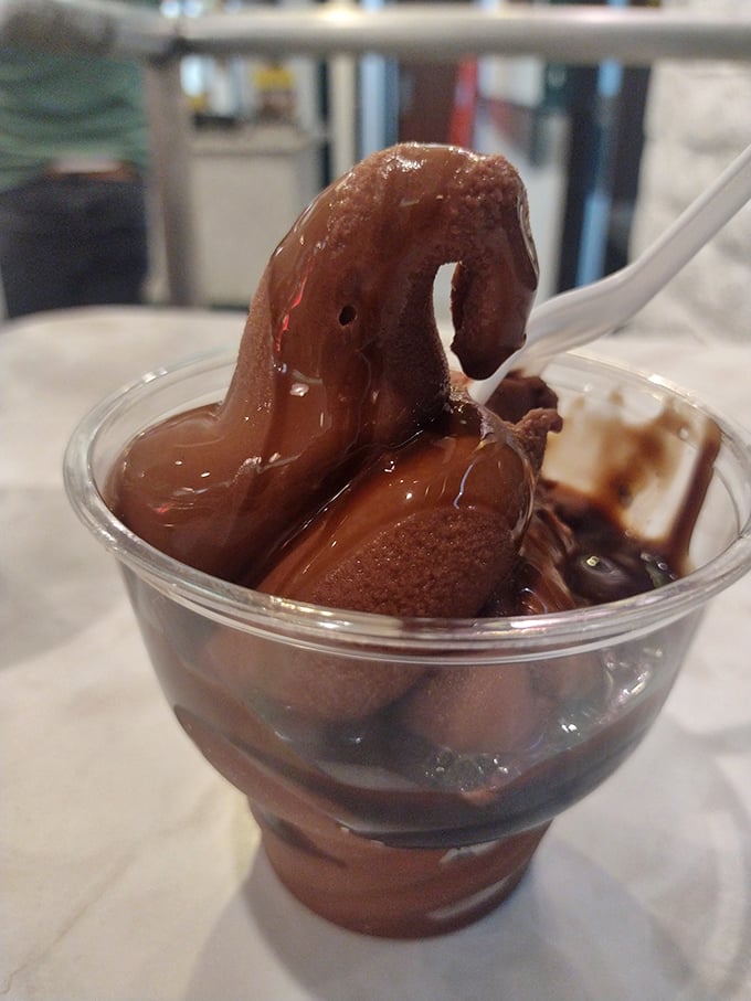Chocolate ice cream under a blanket of hot fudge—proof that sometimes the simple classics deliver more happiness than trendy dessert innovations.