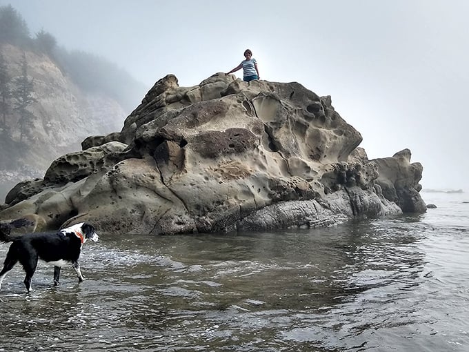 Rock climbing with your best friend—one with considerably better balance and significantly more fur. Adventure comes in all species at Cape Arago.