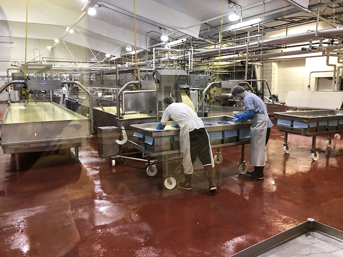 Where the magic happens—real people making real cheese. This behind-the-scenes glimpse reveals why machine-made cheese will never compare to handcrafted.