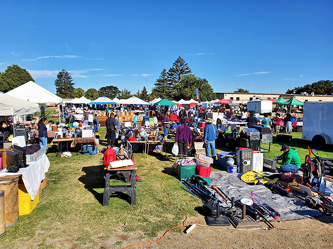The fairgrounds transform into treasure hunter paradise during market days, where one person's castoffs become another's prized collection centerpiece.