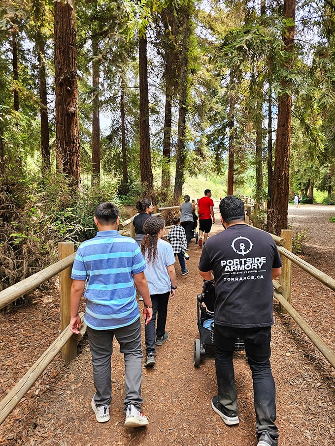 Families discover the magic together. These towering giants have a way of making everyone – regardless of age – feel wonderfully small.