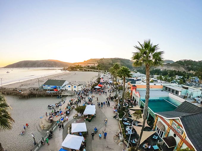 The farmers market transforms the promenade into a celebration of local bounty, where "fresh" isn't just a word—it's a way of life.