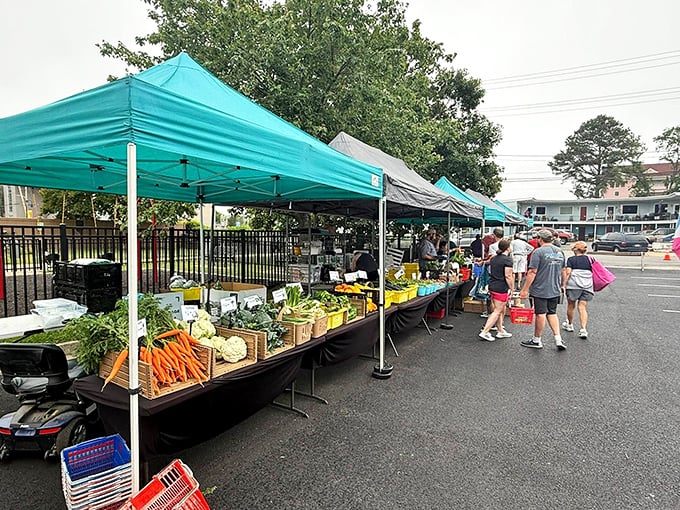 The Friday farmers market proves the best shopping doesn't need fancy stores – just fresh produce, friendly vendors, and the promise of tonight's perfect meal.