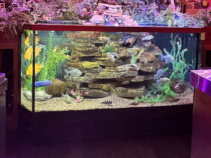 Even the fish tank screams "Wisconsin supper club" – elaborate, slightly over-the-top, and utterly mesmerizing after your second old fashioned.