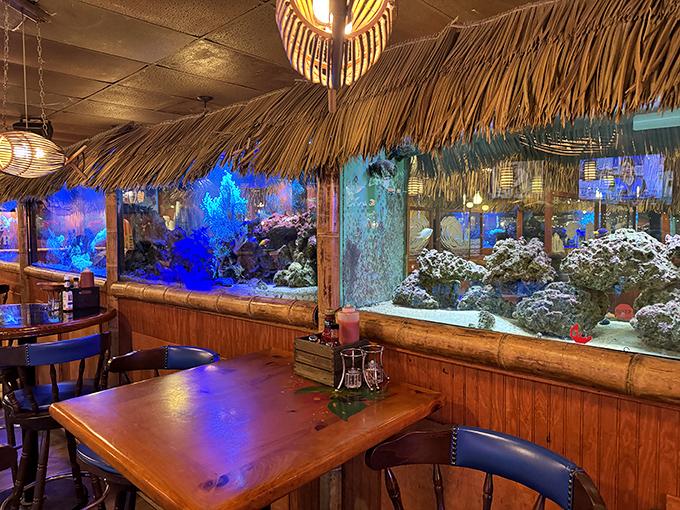 Dining alongside illuminated fish tanks—the irony of watching tropical fish while eating their distant cousins isn't lost on anyone here.