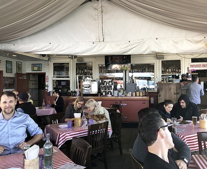 The bustling interior hums with conversation and clinking glasses—proof that good food brings people together better than any social media platform ever could.