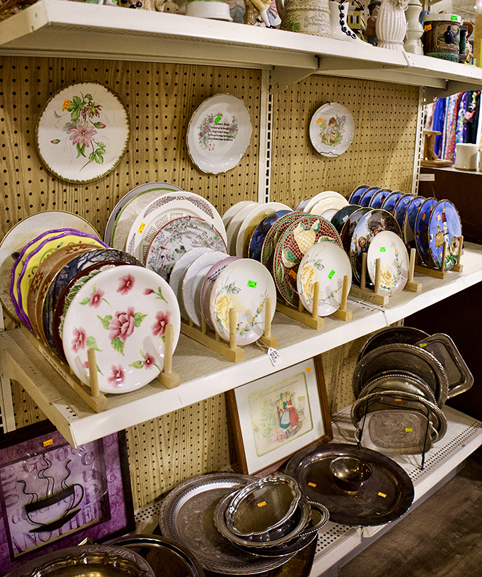 Decorative plates that once graced grandmothers' walls now await new homes where they'll spark conversations about "vintage charm" and "curated collections."