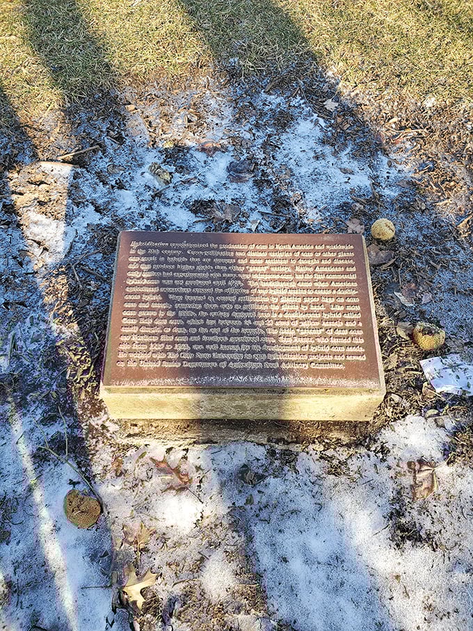 A historical marker partially visible in the ground—another layer of Dublin's story waiting to be discovered by curious visitors.