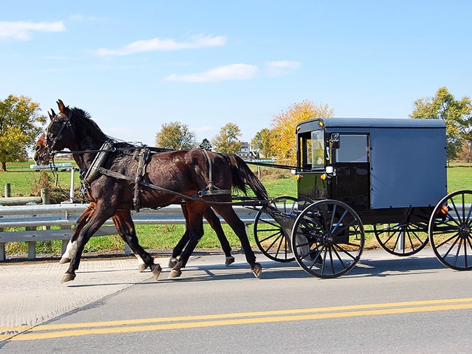 Horse-drawn buggies aren't stuck in the past—they're living proof that some technologies achieve perfection without needing a single software update for 300 years.