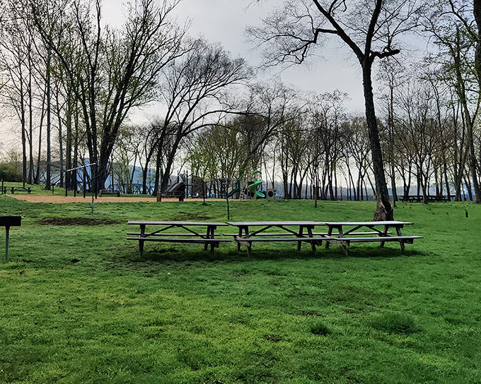 Picnic tables positioned for maximum relaxation potential. The perfect spot to debate whether potato salad tastes better with river views (spoiler: it does).