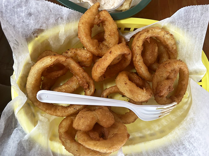 Onion rings done right—crispy, not greasy, with that perfect pull when you take a bite. The supporting actor that sometimes steals the show.