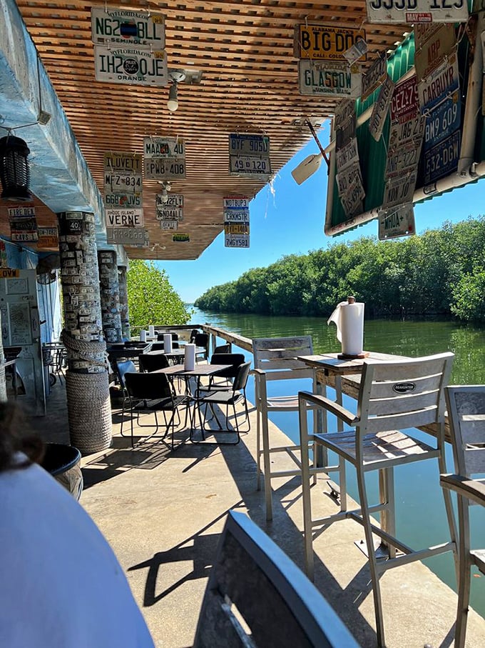 Waterfront dining where the view competes with the food for your attention. The mangroves don't judge how many conch fritters you order.