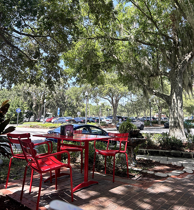 Those red chairs aren't just seating—they're front-row tickets to nature's show of dappled sunlight through ancient oak branches.
