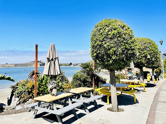 Outdoor picnic tables with million-dollar views where seagulls provide the dinner entertainment, no cover charge.