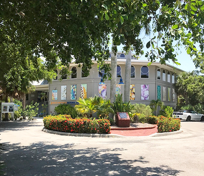Surrounded by lush Florida landscaping, the museum's exterior is as inviting as a perfect beach day—minus the sunburn risk.