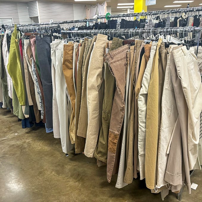 The khaki convention—where every shade of beige and tan gathers to prove that neutrals are anything but boring.