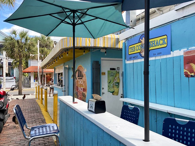 The perfect spot to savor your seafood treasures while soaking up that quintessential Key West ambiance – palm trees included at no extra charge.
