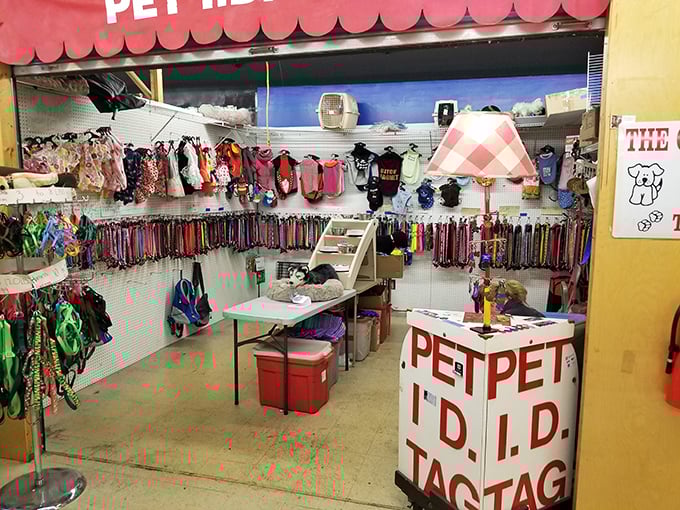 Pampered pooch headquarters where Fido's fashion sense gets unleashed. Even four-legged family members deserve a flea market treasure or two!