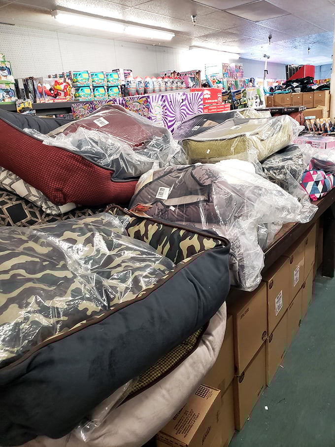 Pet beds in camouflage, plaid, and solids – because even Fido deserves interior design choices that complement your living room.