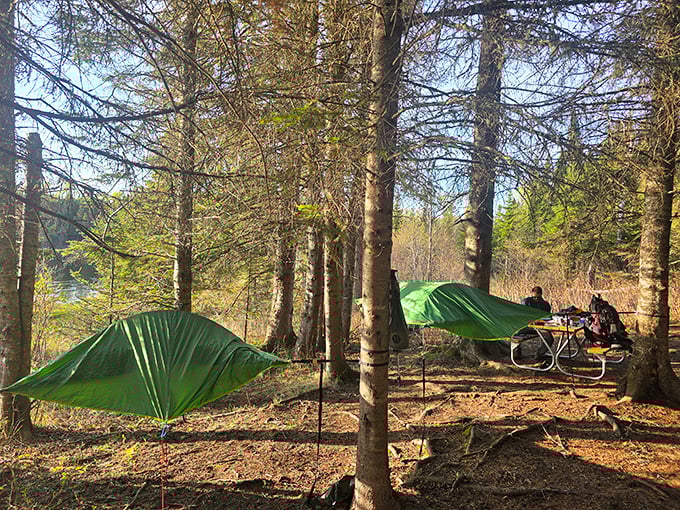 Nature's dining room comes with a view. These simple campsites remind us that sometimes the best amenities are the ones you can't build—silence, solitude, and starlight.