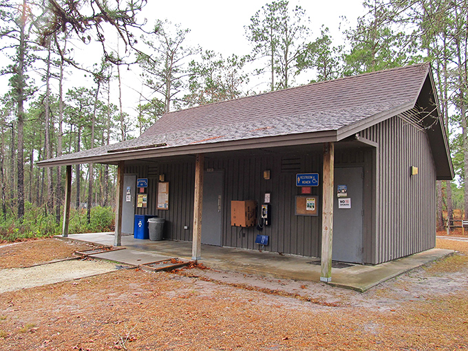 The park's rustic facilities blend perfectly with their woodland surroundings. Practical doesn't have to mean pretentious.