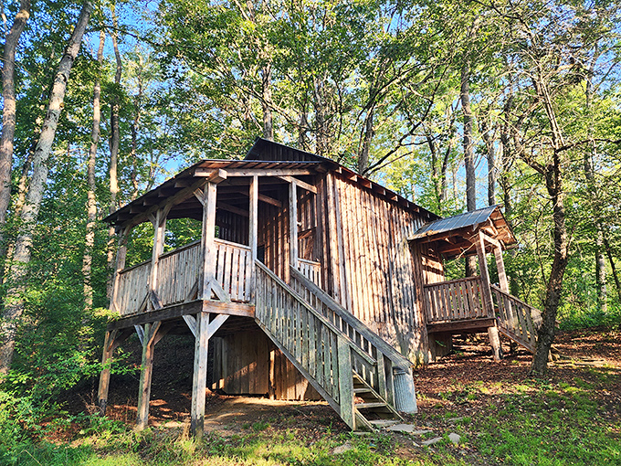 Rustic cabins that redefine "unplugged getaway." These wooden retreats offer the luxury of simplicity with a side of birdsong alarm clocks.