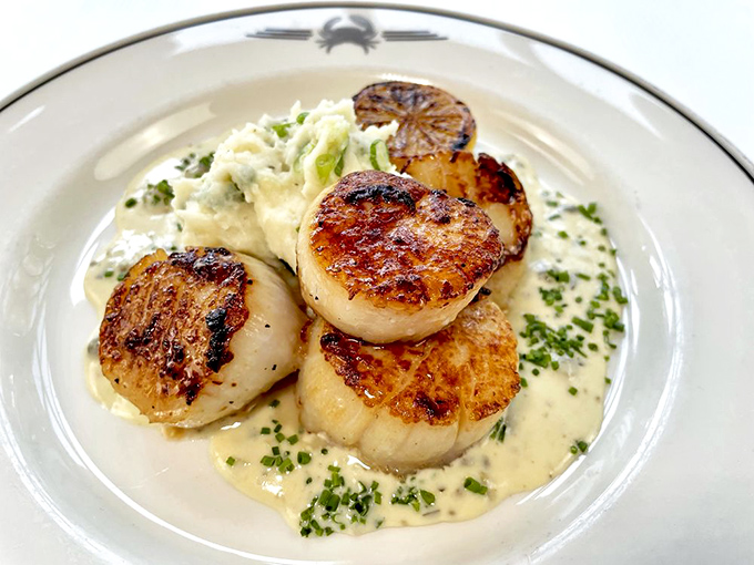 These scallops aren't just seared—they're caramelized to the edge of divinity, swimming in a sauce that should be bottled and sold as liquid happiness.