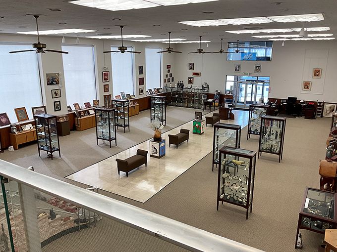 A bird's-eye view of the museum floor reveals the impressive scope of this collection – a veritable Smithsonian for the feline-inclined.