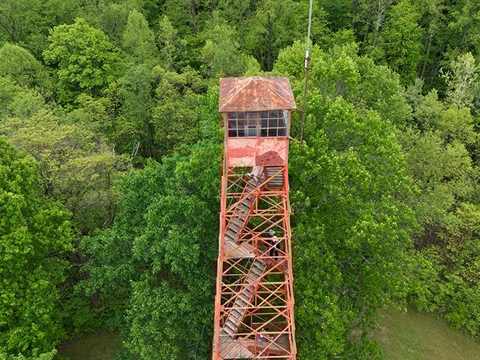 This fire tower stands sentinel above the canopy, offering panoramic views that will have you deleting apps to make room for more photos.