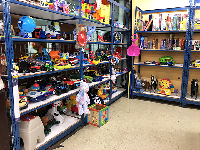 Toy story indeed—plastic playmates patiently waiting for new adventures. That blue shelf could stock a daycare or make one child extraordinarily happy.