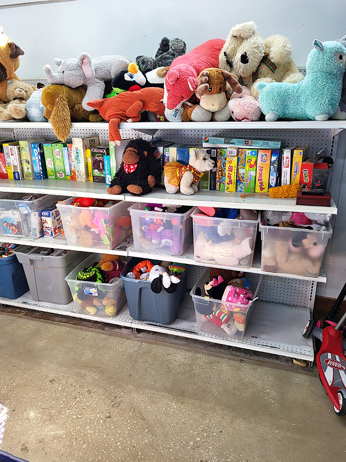 Stuffed animals and board games galore! These gently-loved toys are ready for second chapters with new families—no assembly or batteries required.