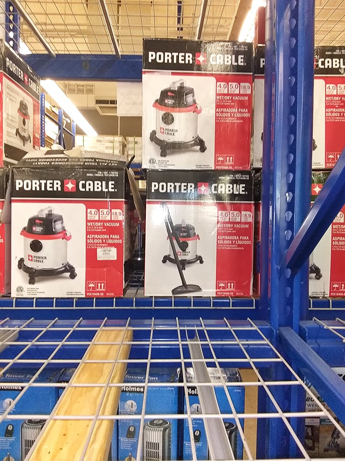 Vacuum brigade! These Porter-Cable shop vacs stand at attention, ready to tackle everything from sawdust to basement floods.