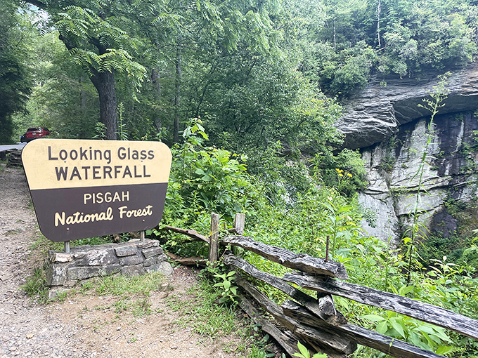 The sign says "Looking Glass Waterfall," but really it means "prepare to have your mind blown in approximately 50 feet."