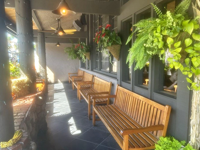 The waiting area: where anticipation meets greenery. These benches have supported generations of hungry beachgoers patiently awaiting muffin nirvana.