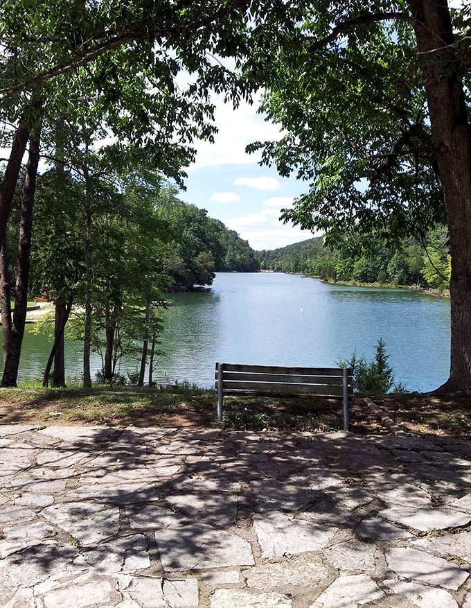 A simple bench overlooking Norris Lake offers the kind of million-dollar view that reminds you why you chose Tennessee.