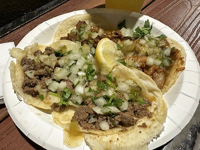 Taco perfection on a paper plate – the holy trinity of meat, onions, and cilantro with that crucial squeeze of lime. Simplicity that sings.