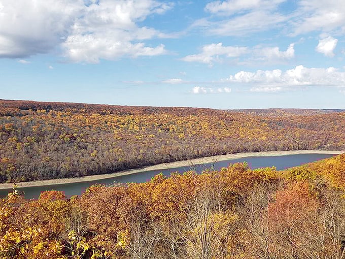 Autumn transforms these woods into nature's own fireworks display, minus the noise complaints from cranky neighbors.